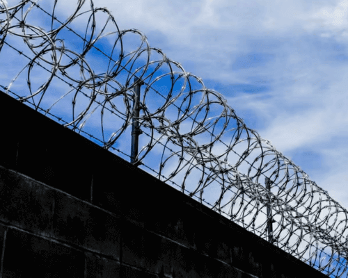 What Is Razor Wire? A Complete Guide To High-Security Perimeter Fencing ...